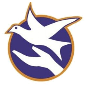 Ireland Website Design - Website Design Grants in Ireland - Ireland ...